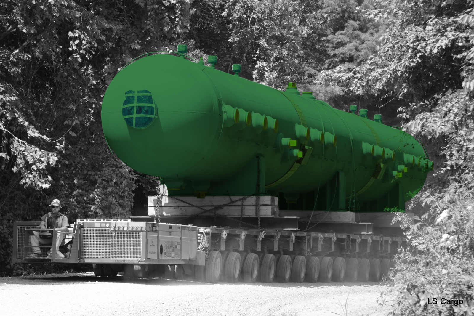 LS Cargo – WE TAKE CARE